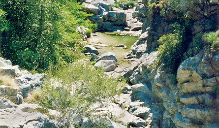 Top 3 Easy Canyoneering Hikes