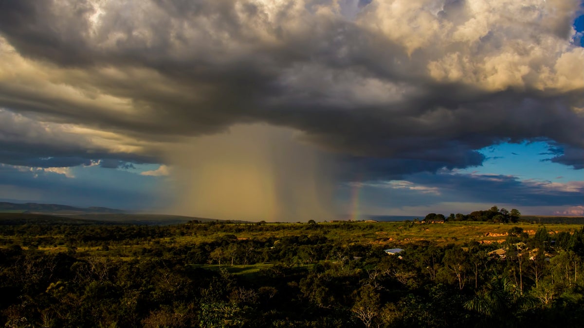 Phenomenon: Microbursts