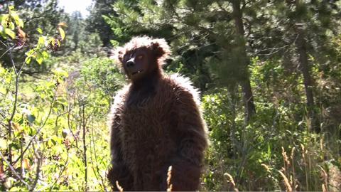 Video: How to Survive a Bear Attack