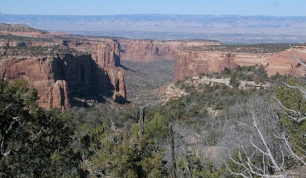 Spring Hikes: Trip Planner