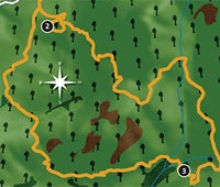 Forest: Giant Forest Loop, CA