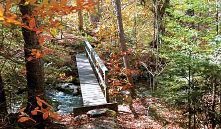 Rip & Go: Stratton Loop - Lye Brook Wilderness, VT