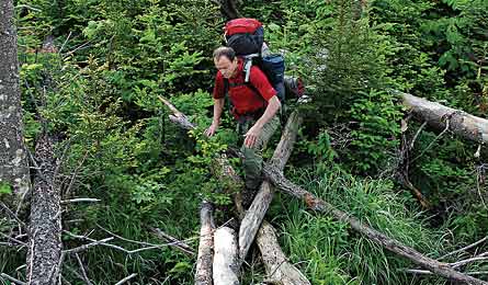 Rip & Go: Stratton Loop - Lye Brook Wilderness, VT