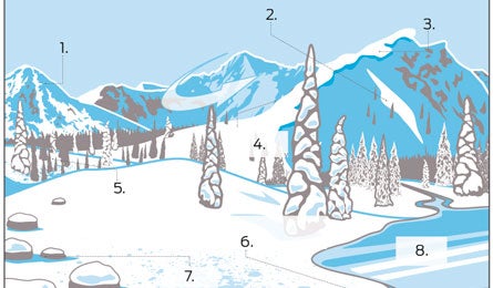 Winter Survival Guide: Navigate