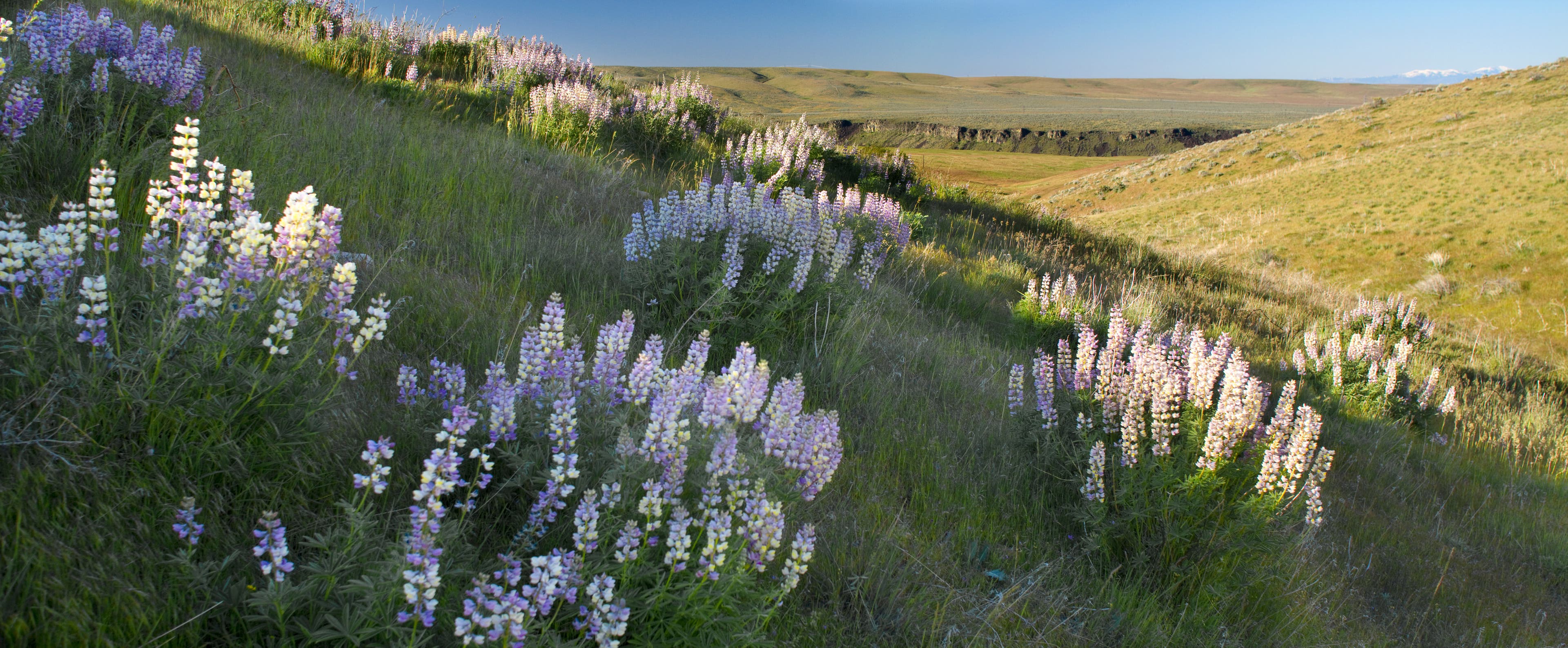 Hiking Watchman Trail Loop near Boise, ID