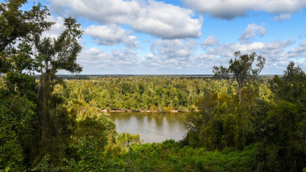 Tallahassee, FL: River Bluff Trail Loop
