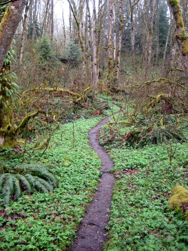 Anchorage, AK: Crow Pass Trail