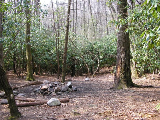 Asheville: Little Lost Cove Cliffs Loop