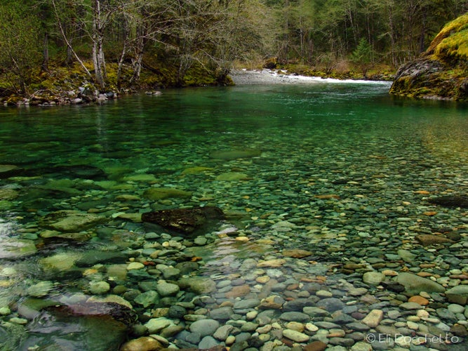 Salem, OR: Little North Santiam Trail