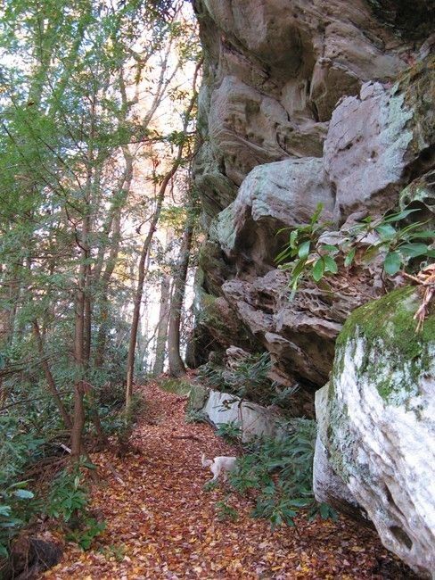 Knoxville: Knobby Rock Loop