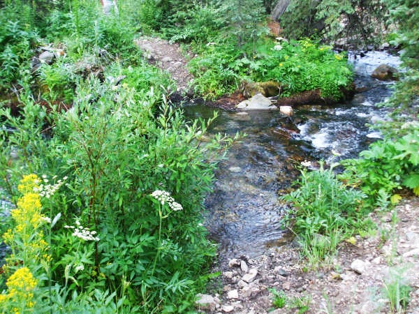 Great Falls, MT: Renshaw Lake Loop
