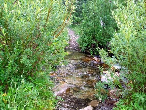 Great Falls, MT: Renshaw Lake Loop