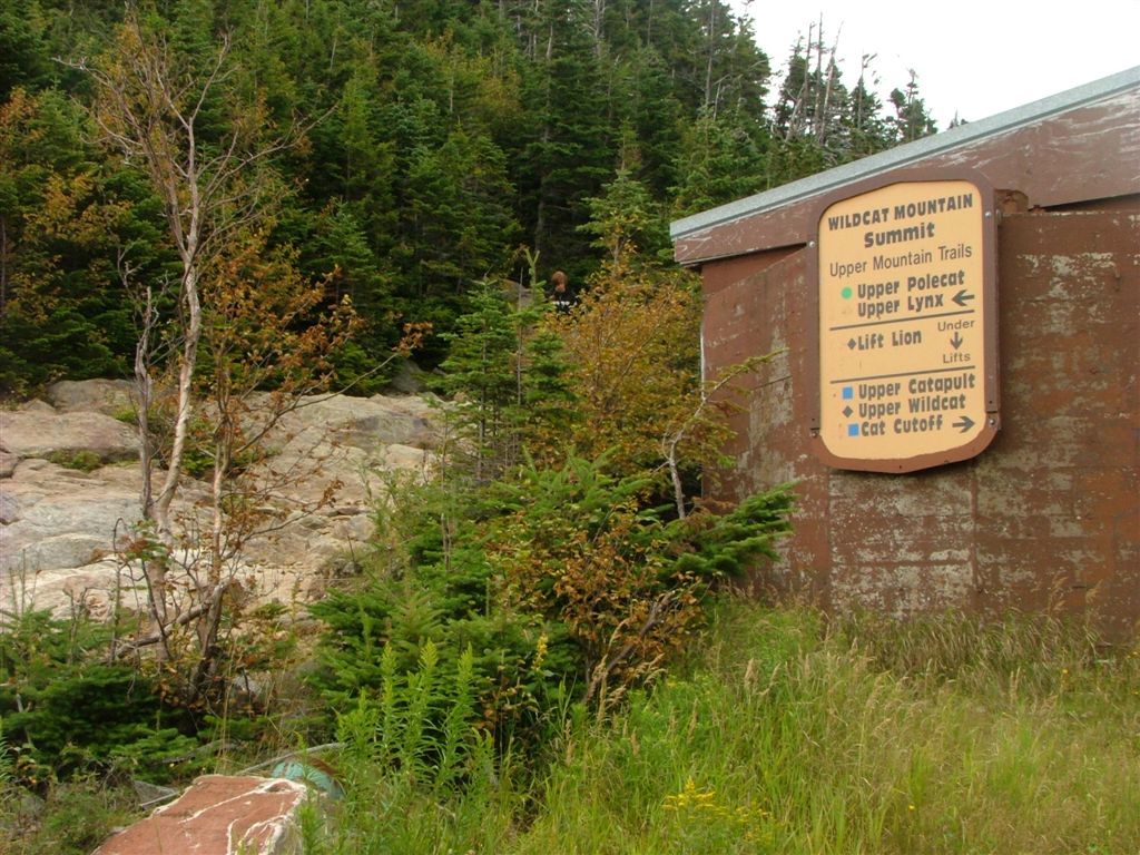 Appalachian Trail: Pinkham Notch Visitor Center to Hogan Road