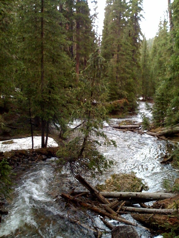 Wheeler Peak Wilderness, NM: Wheeler Peak Loop