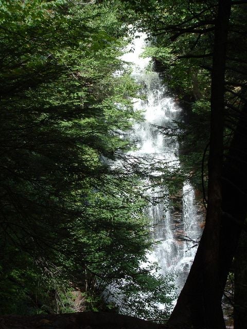 Scranton, PA: Falls Trail Loop to Adams Falls