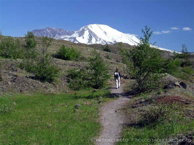 Jasper National Park: Skyline Trail