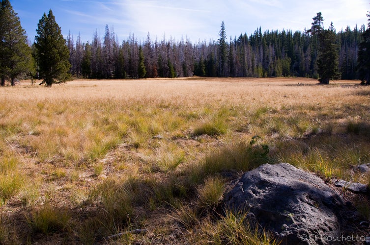 Broken Top Loop | Bend, OR - Backpacker