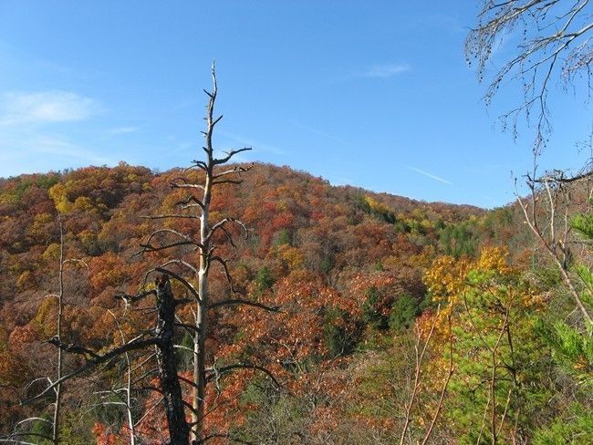Knoxville: Knobby Rock Loop