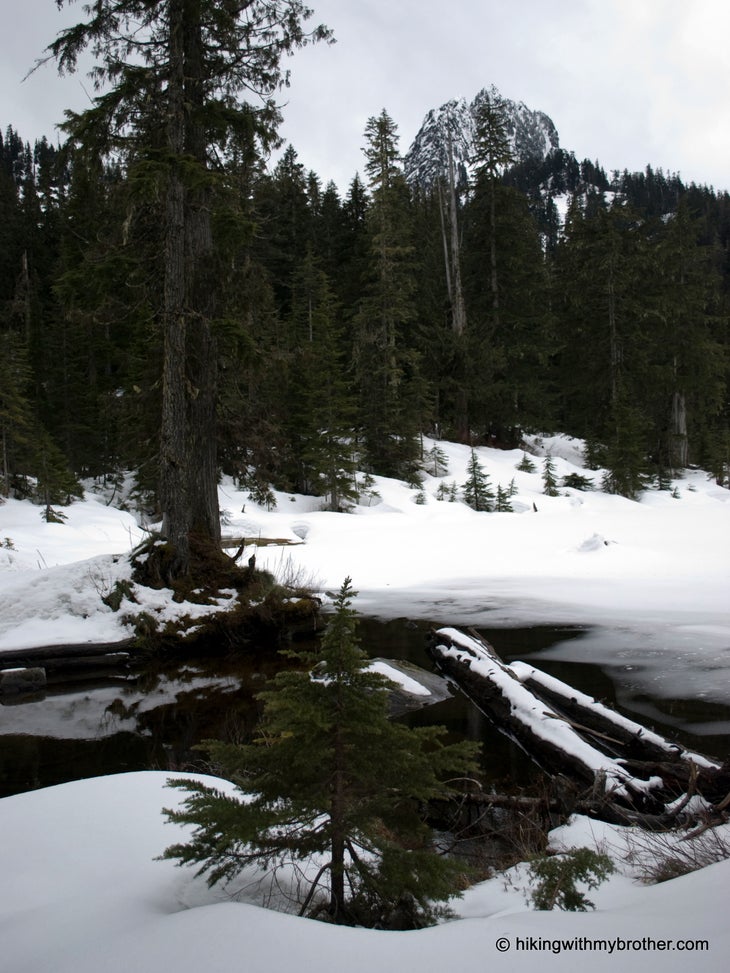 Seattle, WA: Blethen Lakes