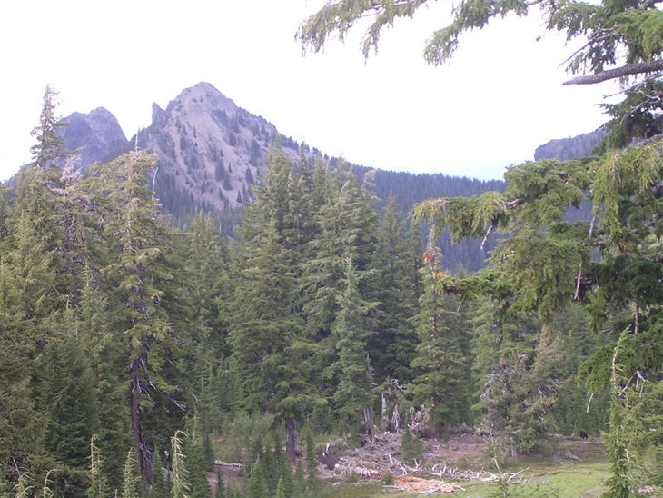 Bend, OR: Diamond Peak Loop