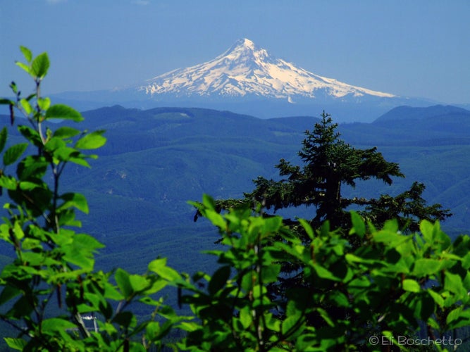 Mount St. Helens National Volcanic Monument: Ape Canyon
