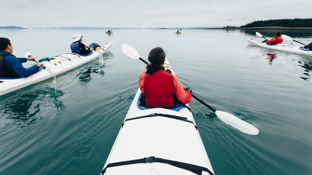 Glacier Bay National Park: Muir Inlet Paddle