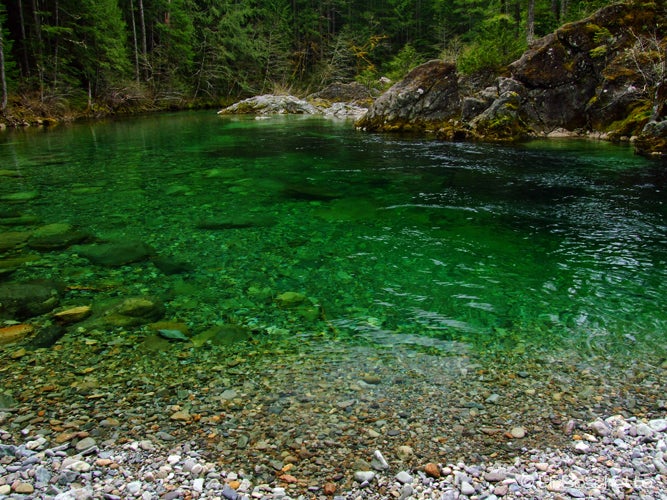 Salem, OR: Little North Santiam Trail