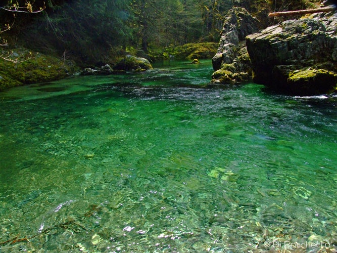 Salem, OR: Little North Santiam Trail