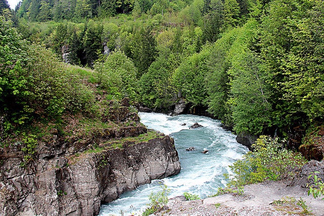 Olympic National Park: Elwha River Trail