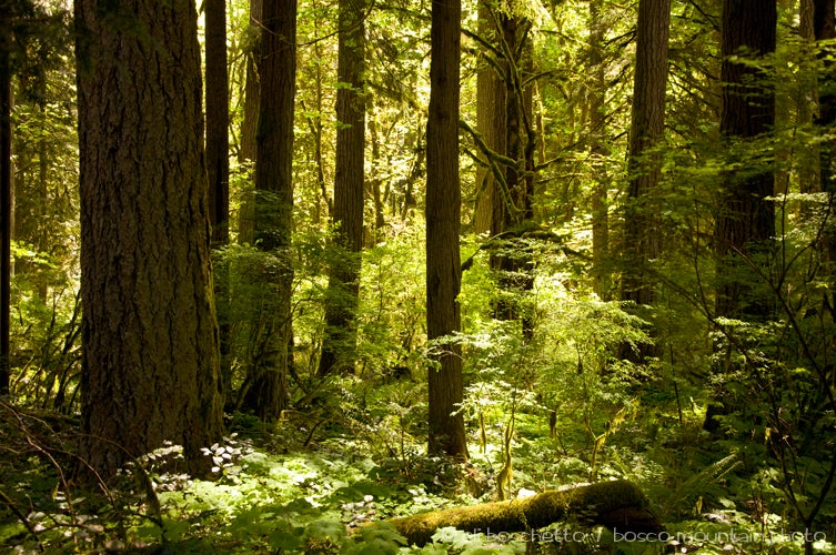 Portland, OR: Sandy River Loop
