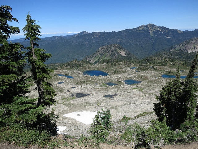Olympic National Park: Seven Lakes Loop