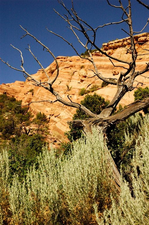Colorado National Monument: Independence Monument