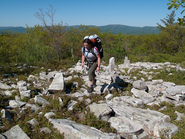 Long Trail (Section 01): Pine Cobble Road to VT 9