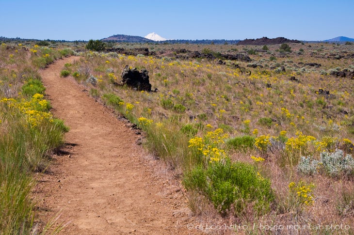 Lava Beds National Monument, CA: Black Crater and Wright Battlefield