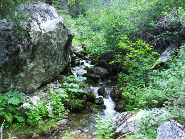 Great Falls, MT: Renshaw Lake Loop