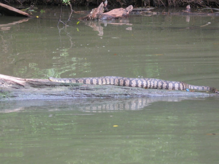 Houston, TX: Lake Livingston