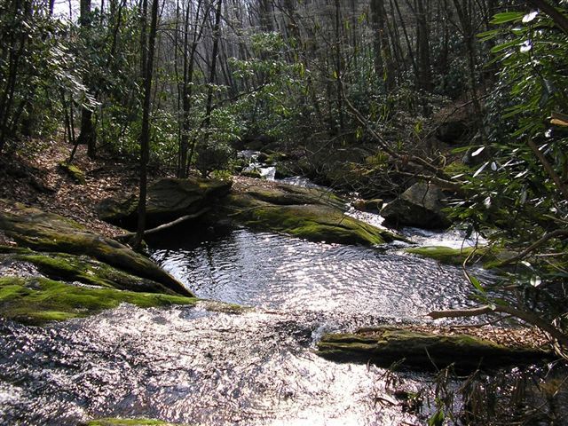 Asheville: Little Lost Cove Cliffs Loop