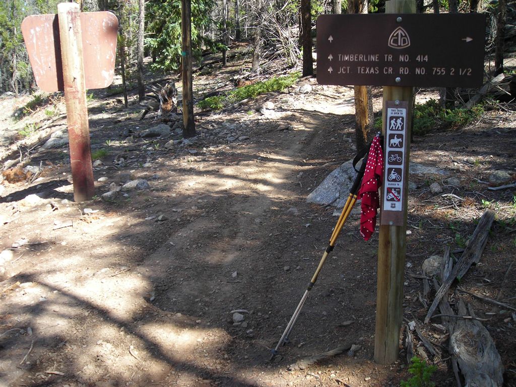 Buena Vista, CO: Timberline Trail to Huron Peak