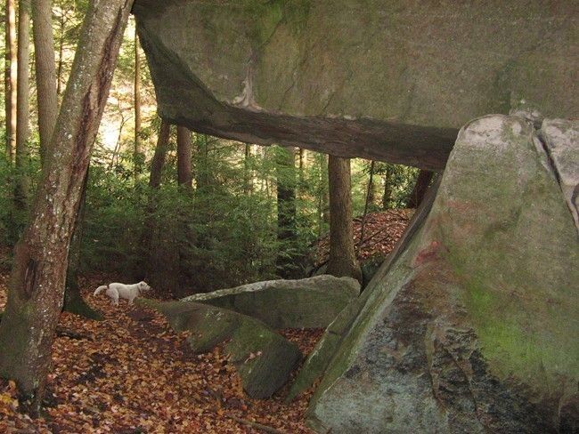 Knoxville: Knobby Rock Loop