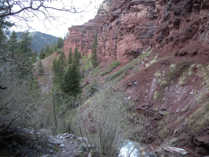 Boulder, CO: Niwot Alternative Loop