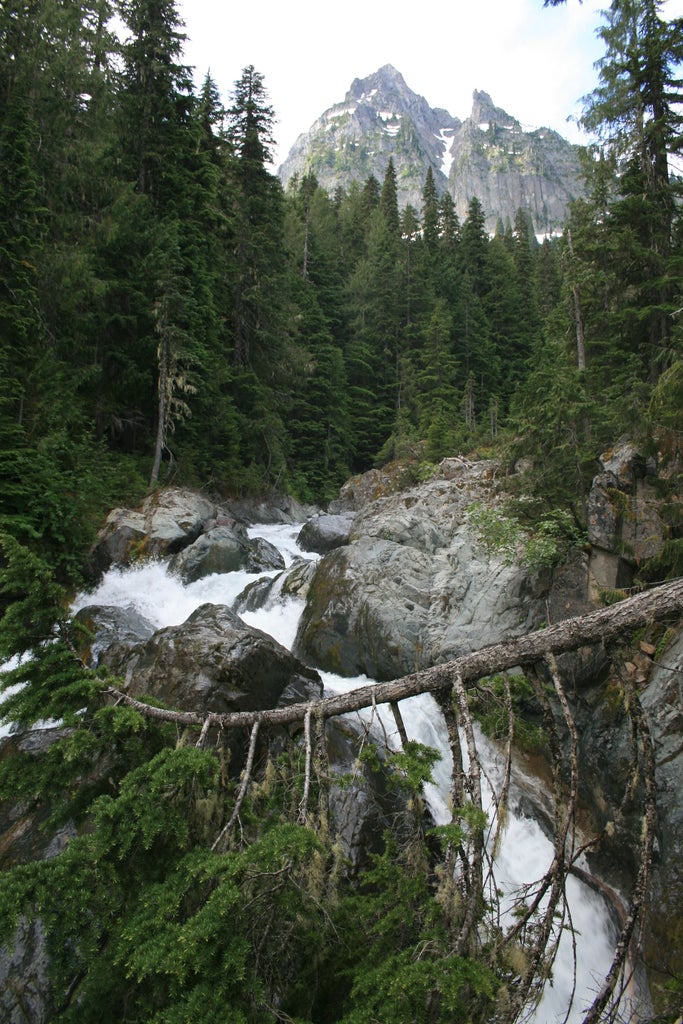 Hike Fryingpan Creek to Mowich Lake on the Wonderland Trail