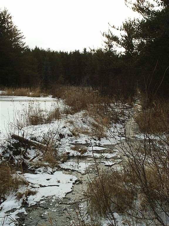 Chicago, IL: Lakewood Forest Preserve