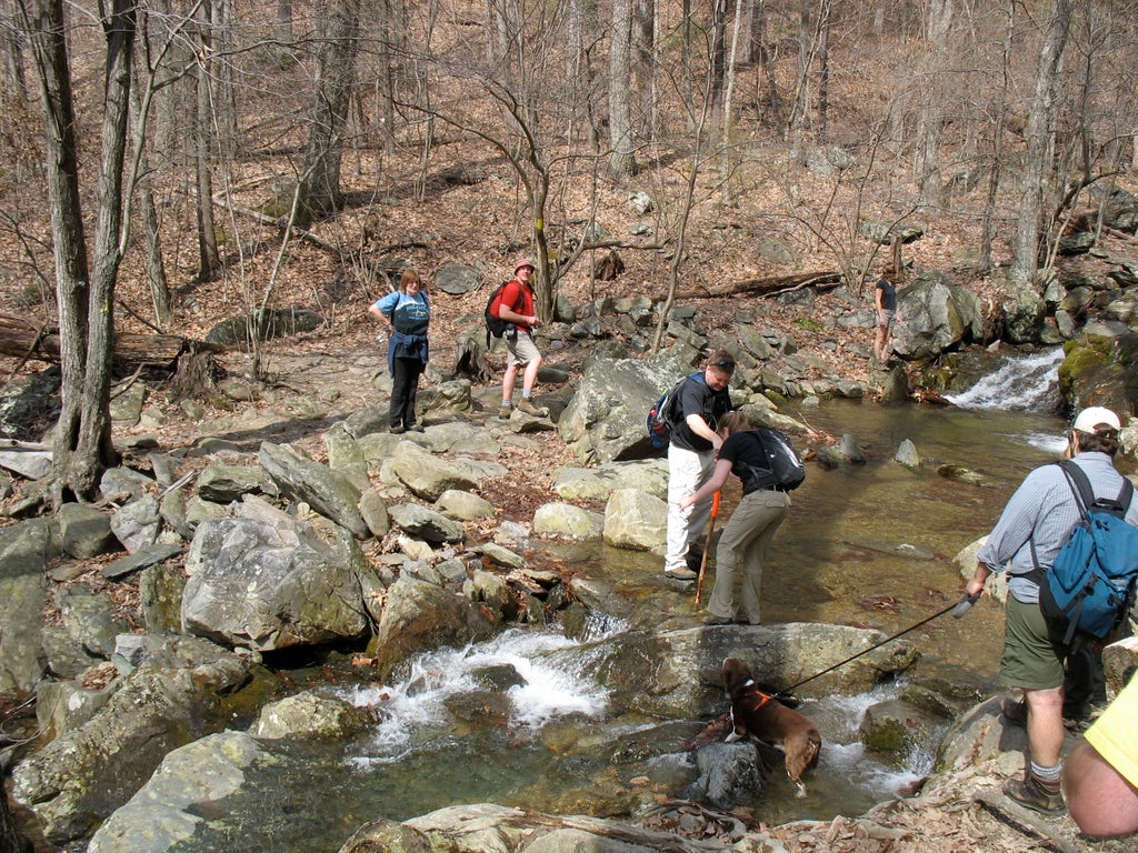 Charlottesville, VA: White Rock Falls