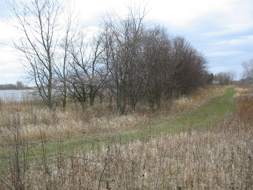 Milwaukee, WI: Vern Wolf Lake Loop
