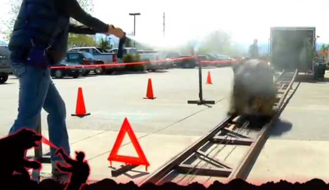 Watch a Bear Charge Simulator in Action