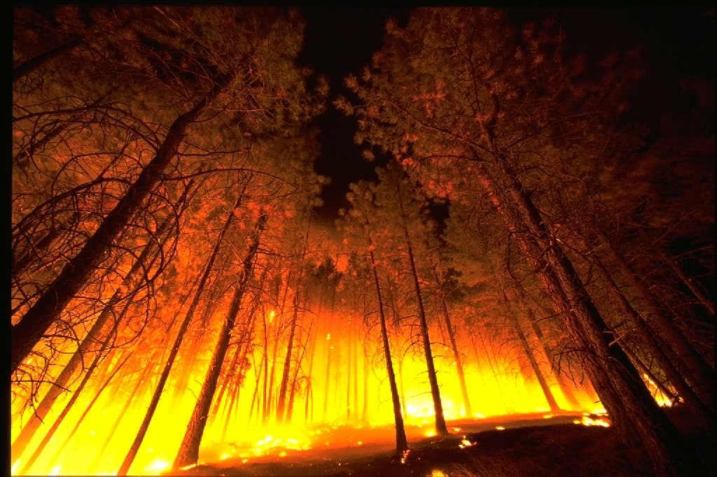 Hunter Indicted Over 2013 Rim Fire