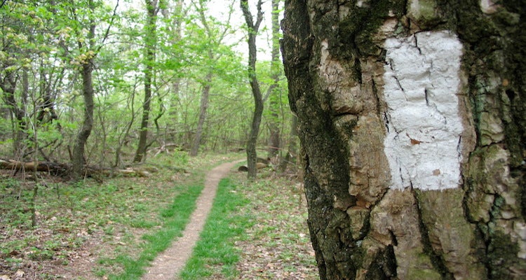 Appalachian Trail: Leading Up To the White Blazes