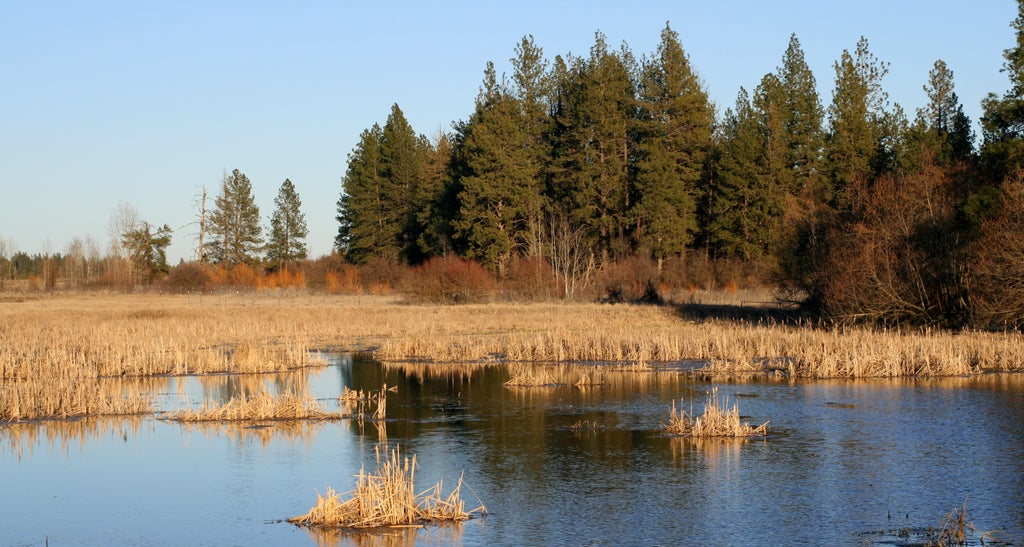 Spokane, WA: Pine Lake Loop