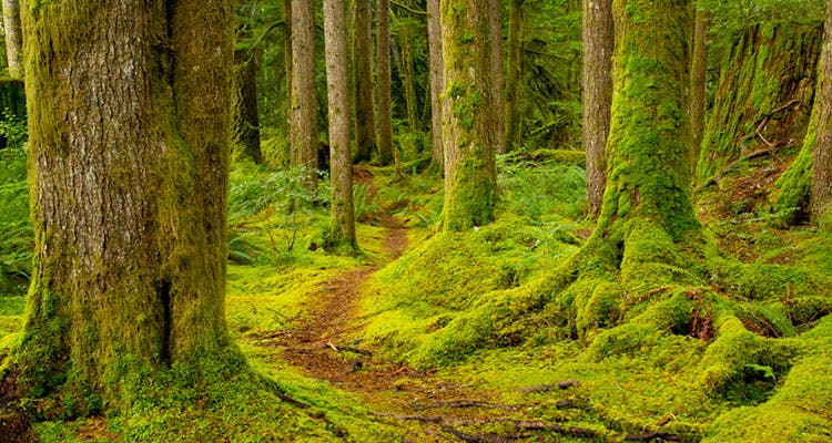 Inside a Backcountry Photographer’s Pack