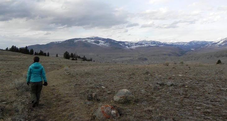 Yellowstone National Park: Beaver Ponds Loop
